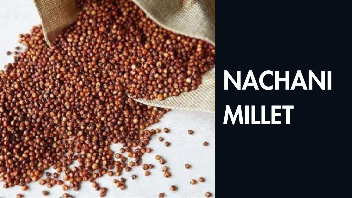 NACHANI – Healthyroots